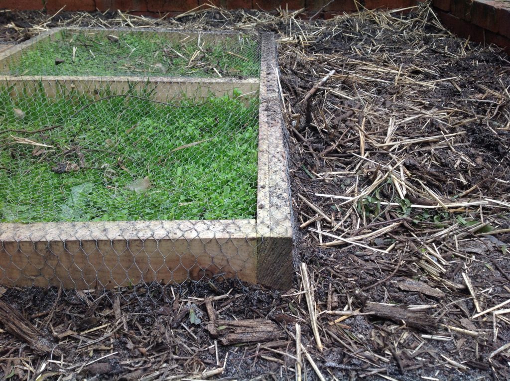 Grass protector - Heritage Farm